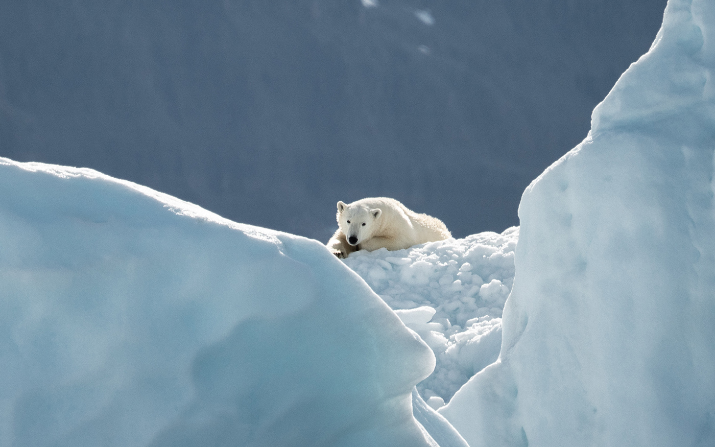 The SDG series: evaluating Sustainable Development Goals 13-17 - PRé ...