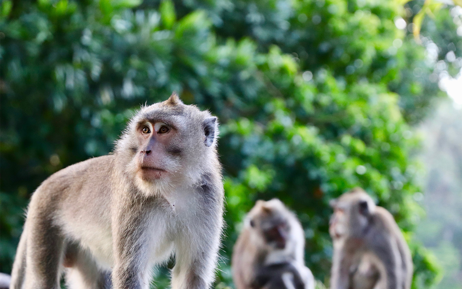 Assessing biodiversity impacts with BioScope - PRé Sustainability